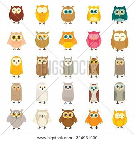 Cute Flat Owls Set. Vector & Photo (Free Trial) | Bigstock