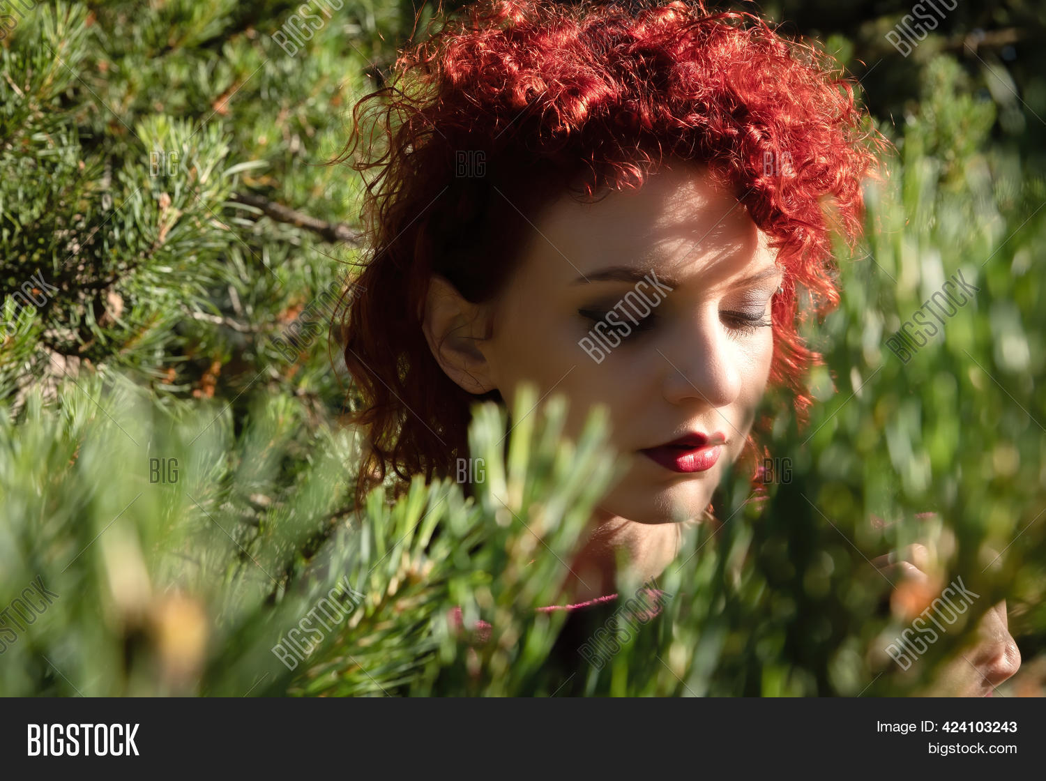Young Woman Among Pine Image & Photo (Free Trial) | Bigstock