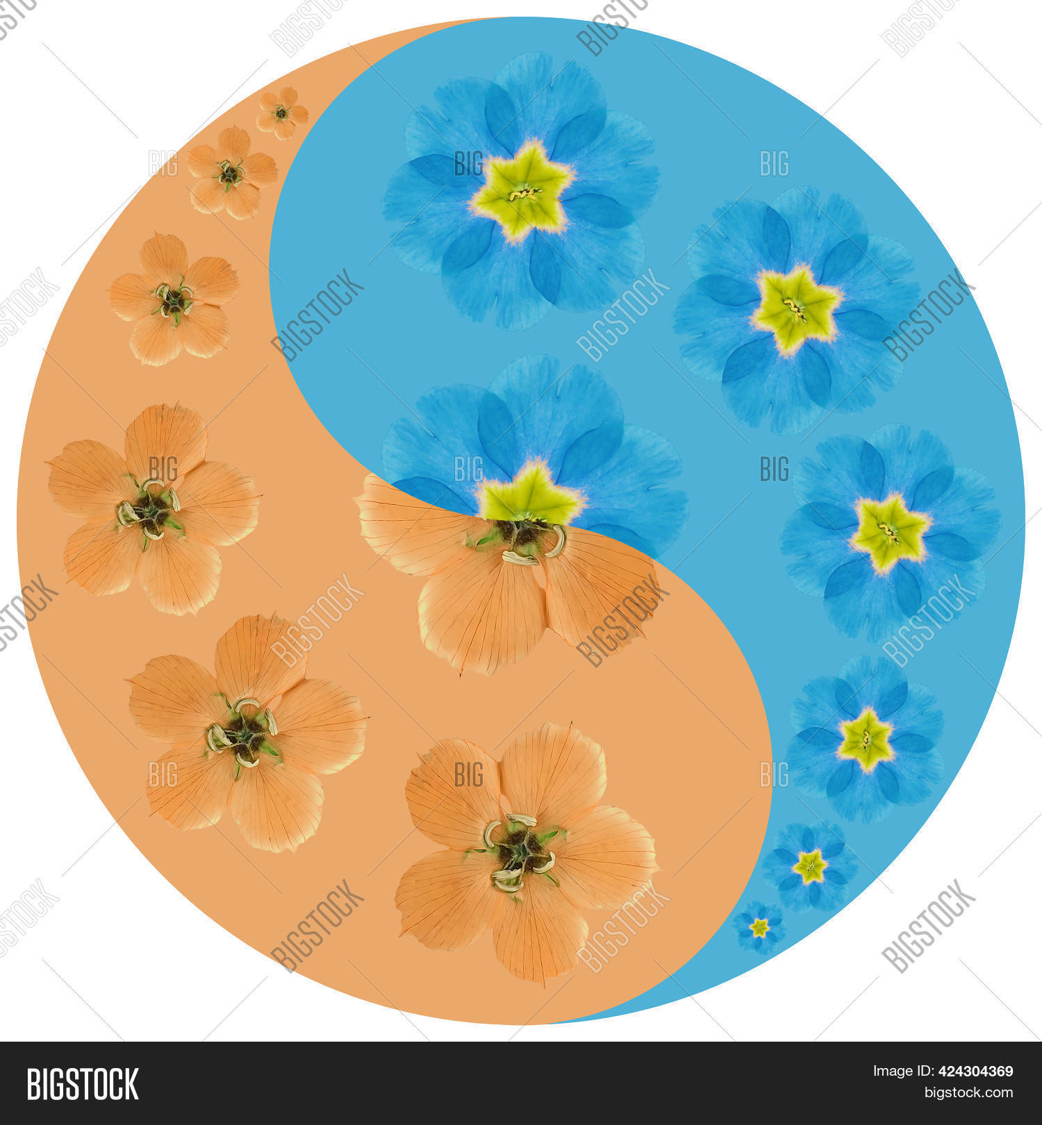 Floral Symbol Yin-yang Image & Photo (Free Trial) | Bigstock