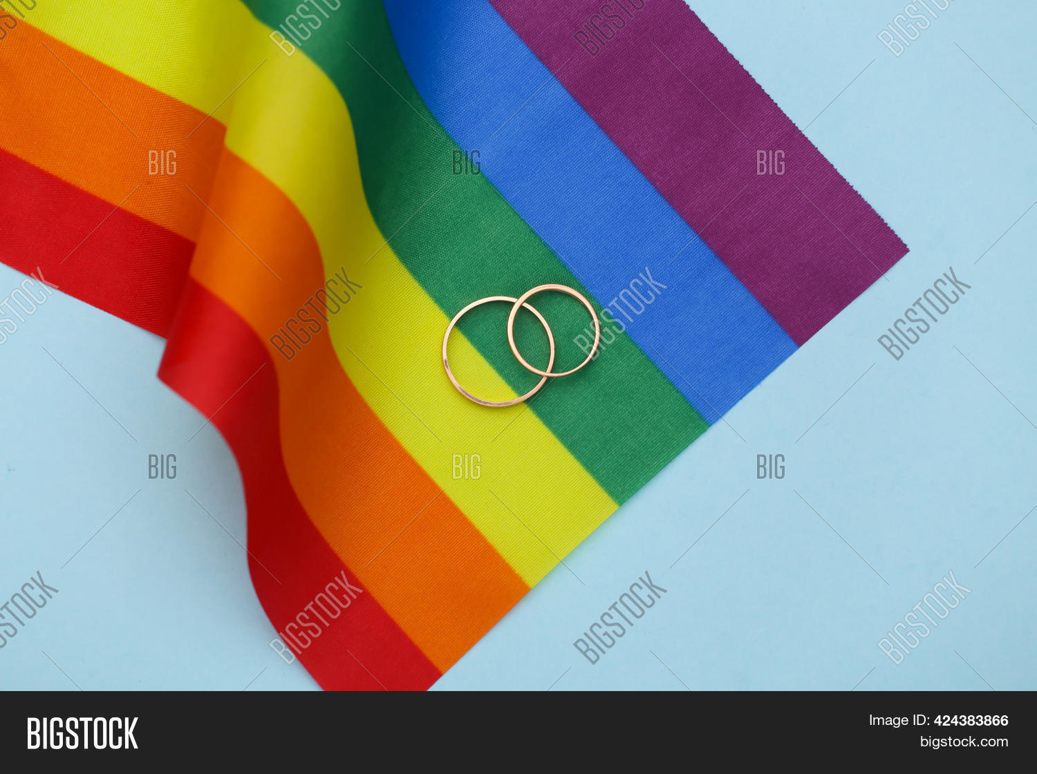 Lgbt Wedding. Lgbt Image & Photo (Free Trial) | Bigstock