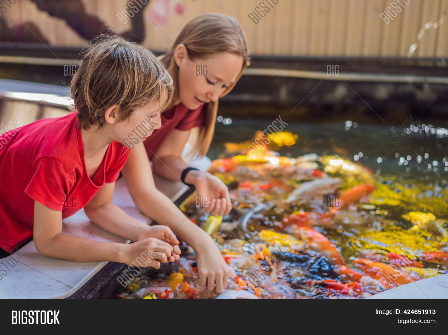 Mom Son Feed Koi Fish Image & Photo (Free Trial) | Bigstock
