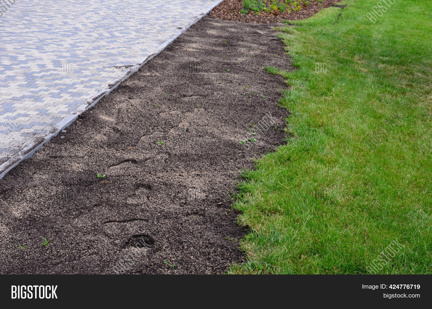 Repair Damaged Lawns Image & Photo (Free Trial) | Bigstock