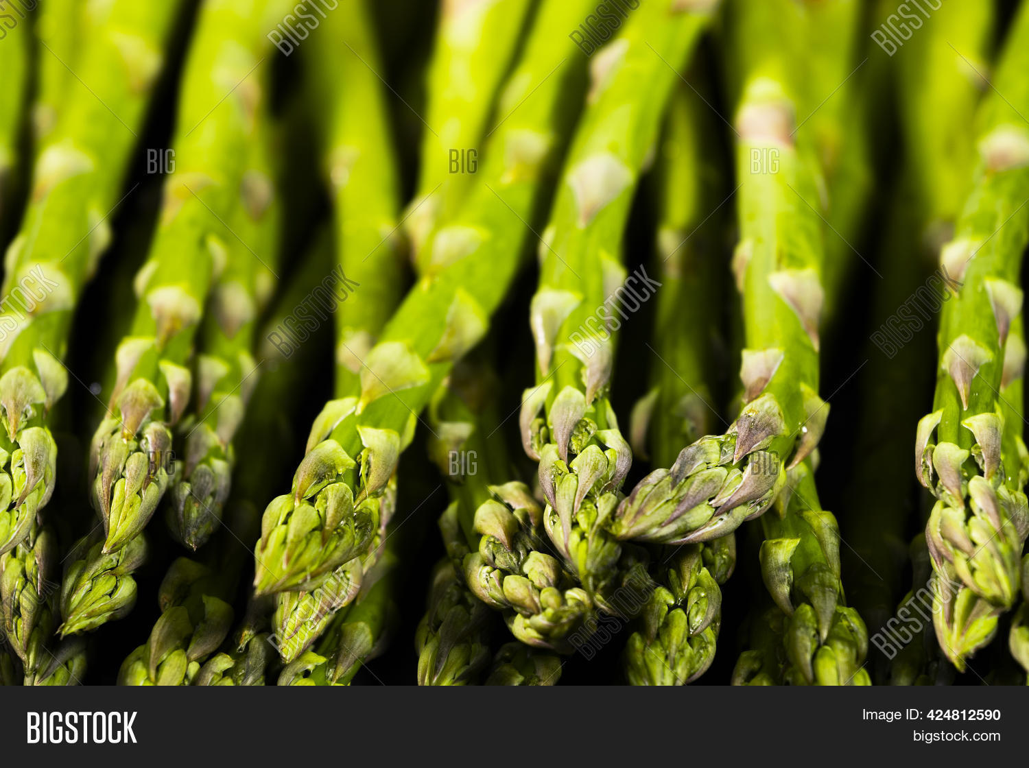 Asparagus. Fresh Green Image & Photo (Free Trial) | Bigstock