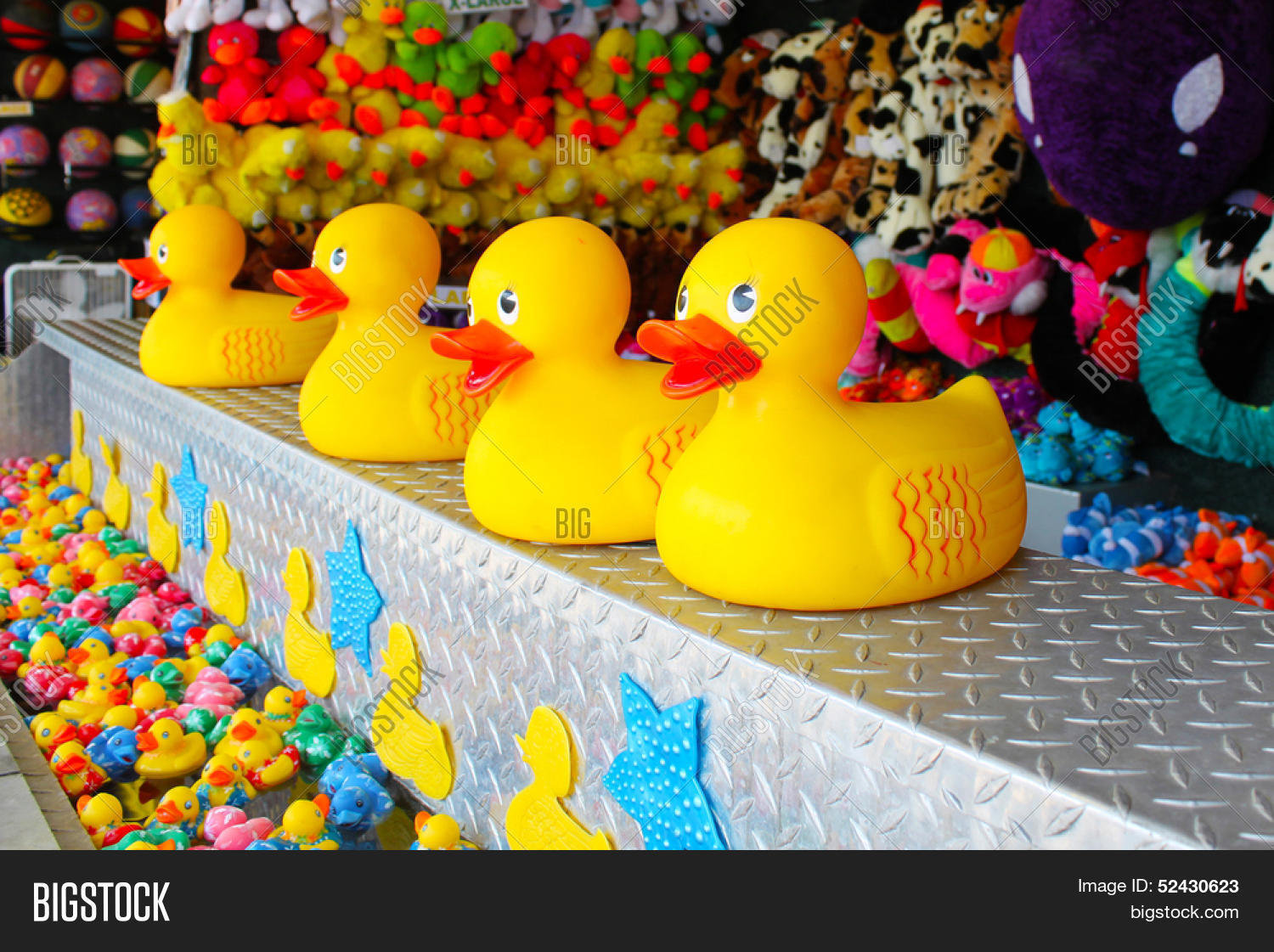 Ducks Row Image & Photo (Free Trial) | Bigstock