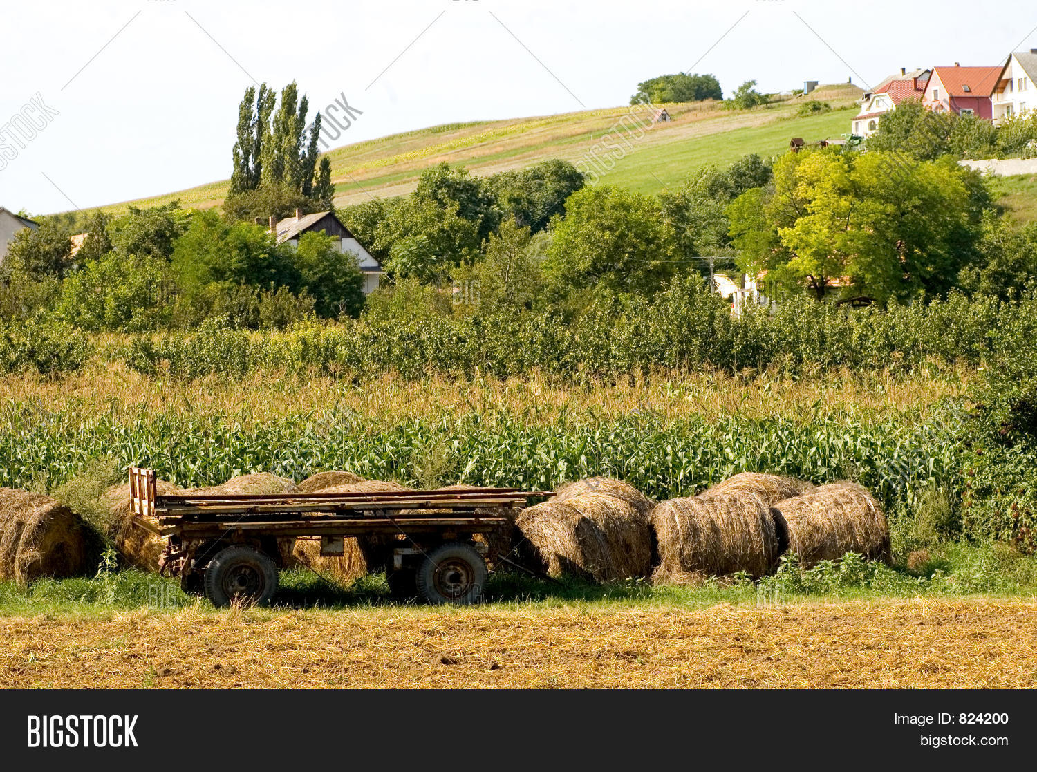 Hungarian Countryside Image & Photo (Free Trial) | Bigstock