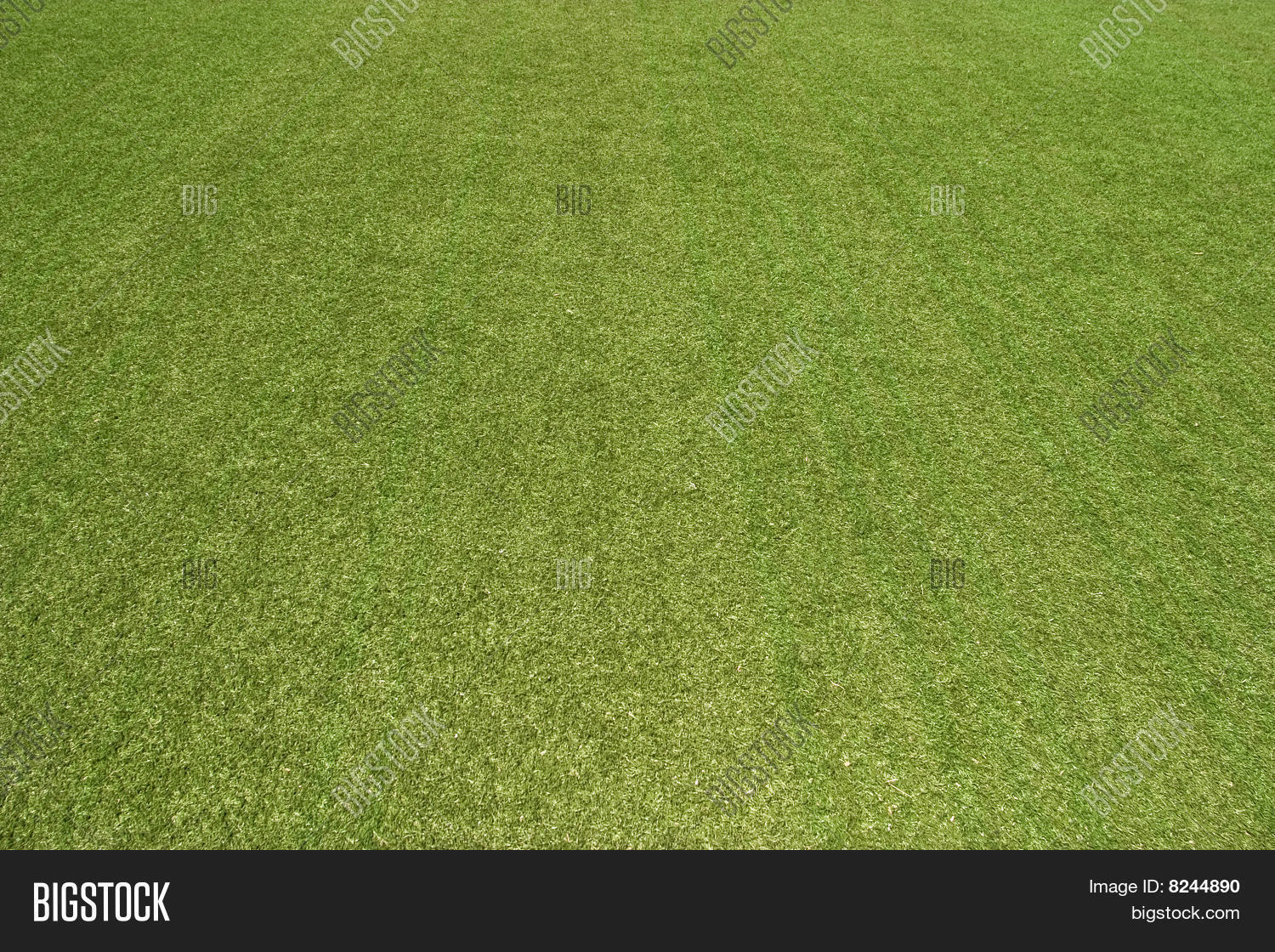 Texture Football Pitch Image & Photo (Free Trial) | Bigstock