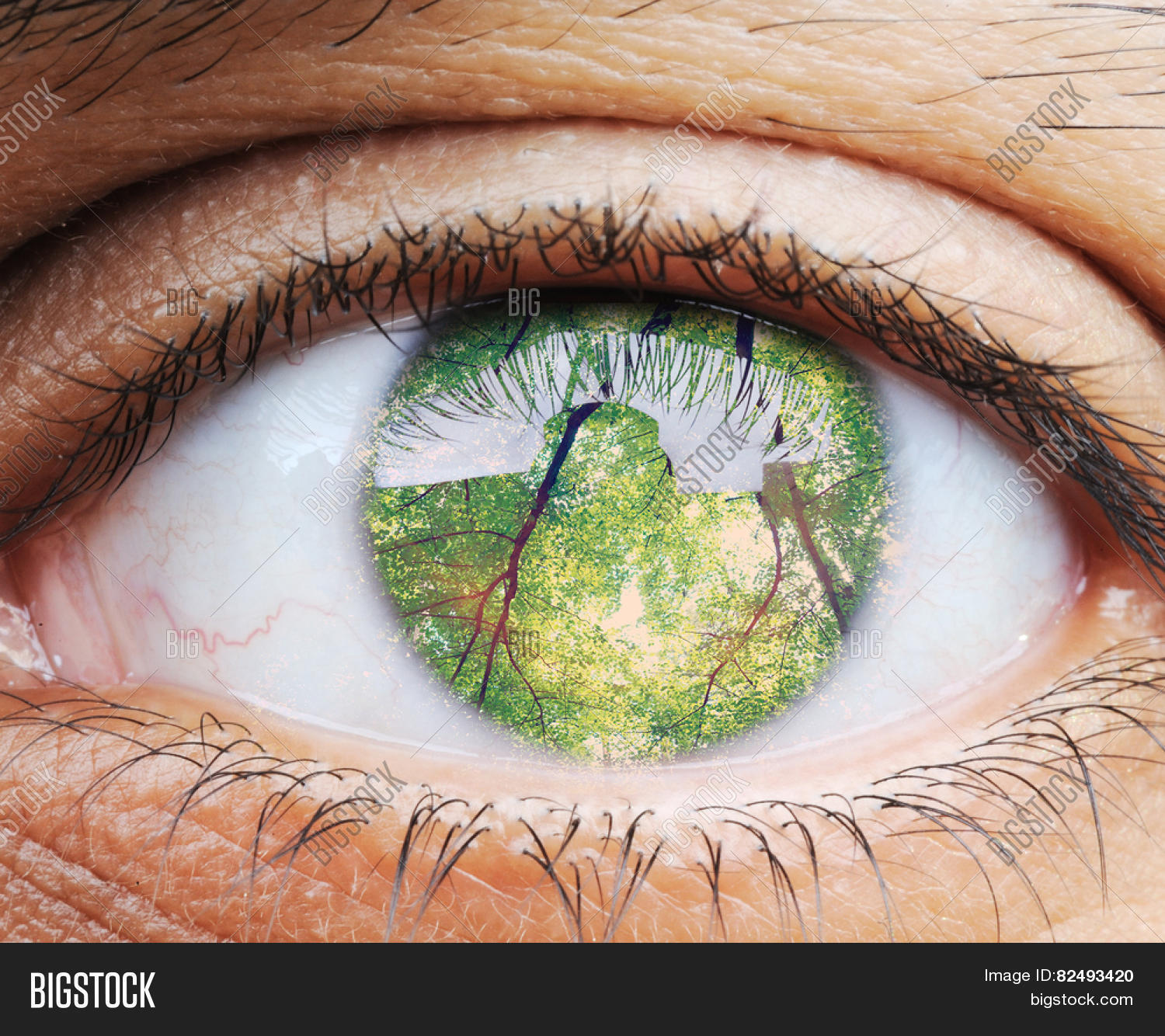 Closeup Human Eye, Image & Photo (Free Trial) | Bigstock