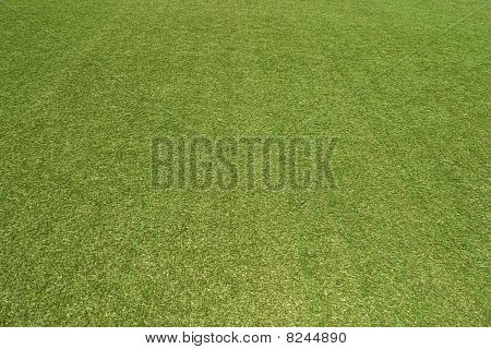 Texture Football Pitch Image & Photo (Free Trial) | Bigstock