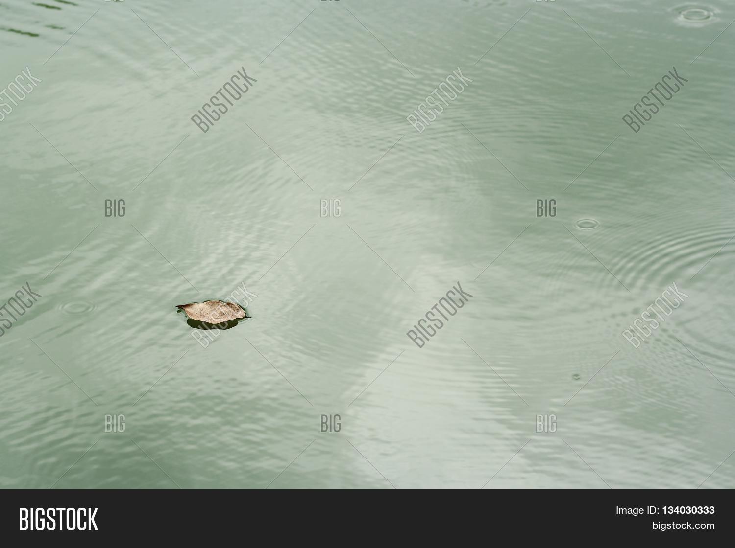 Water Texture Pond Image & Photo (Free Trial) | Bigstock