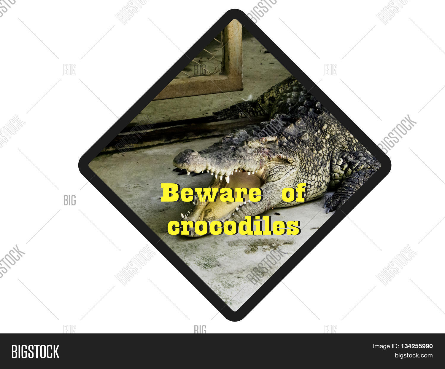 Beware Crocodiles. Image & Photo (Free Trial) | Bigstock