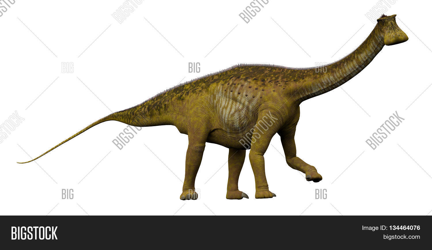 Nigersaurus Side Image & Photo (Free Trial) | Bigstock