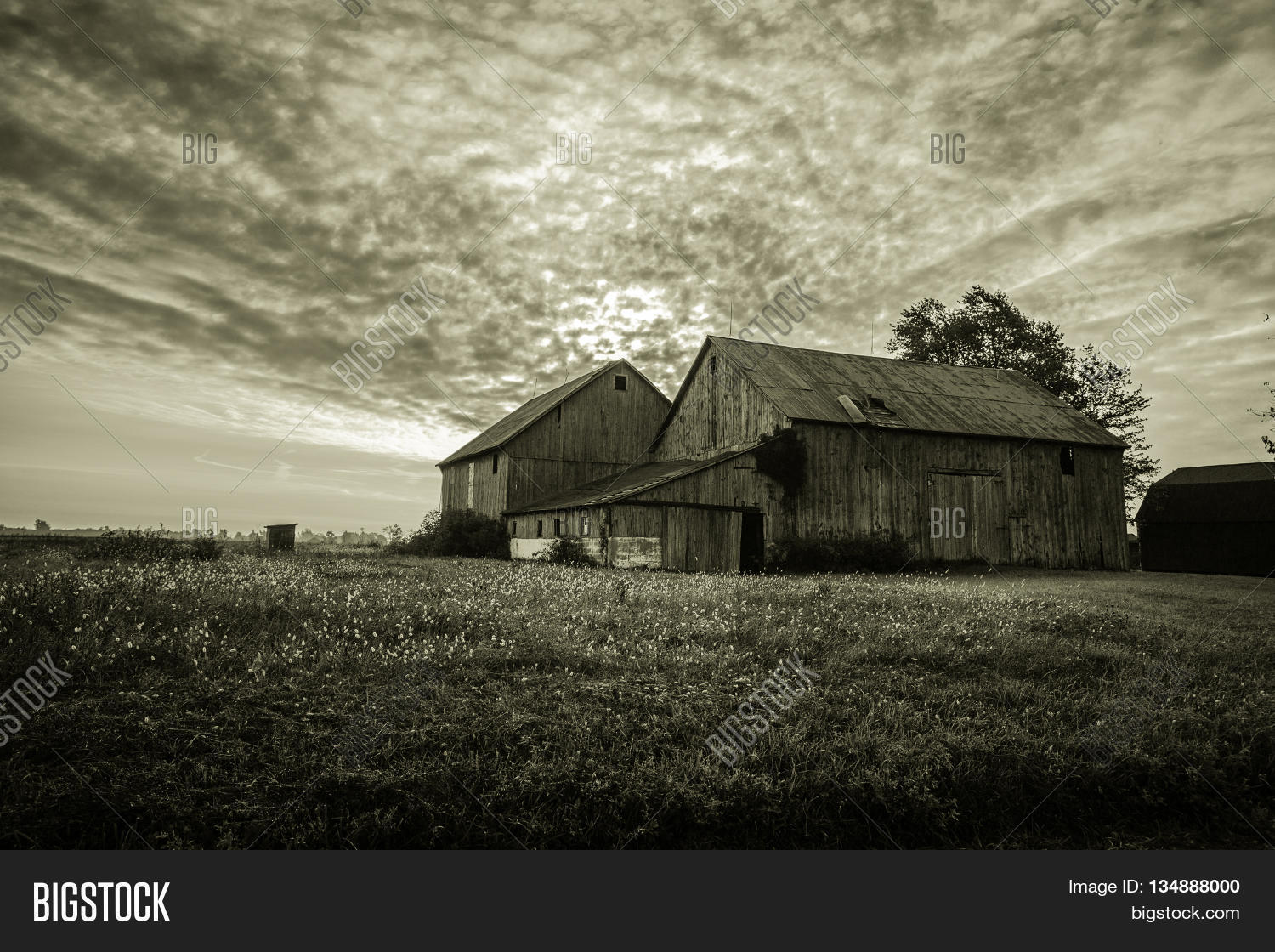 Vintage Farm Landscape Image & Photo (Free Trial) | Bigstock