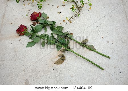 Two Roses On Tombstone Image & Photo (Free Trial) | Bigstock