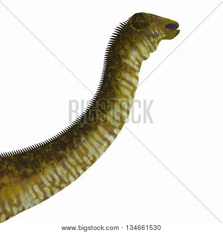 Nigersaurus Dinosaur Image & Photo (Free Trial) | Bigstock