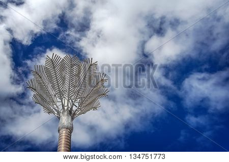 Nikau Images, Illustrations & Vectors (Free) - Bigstock