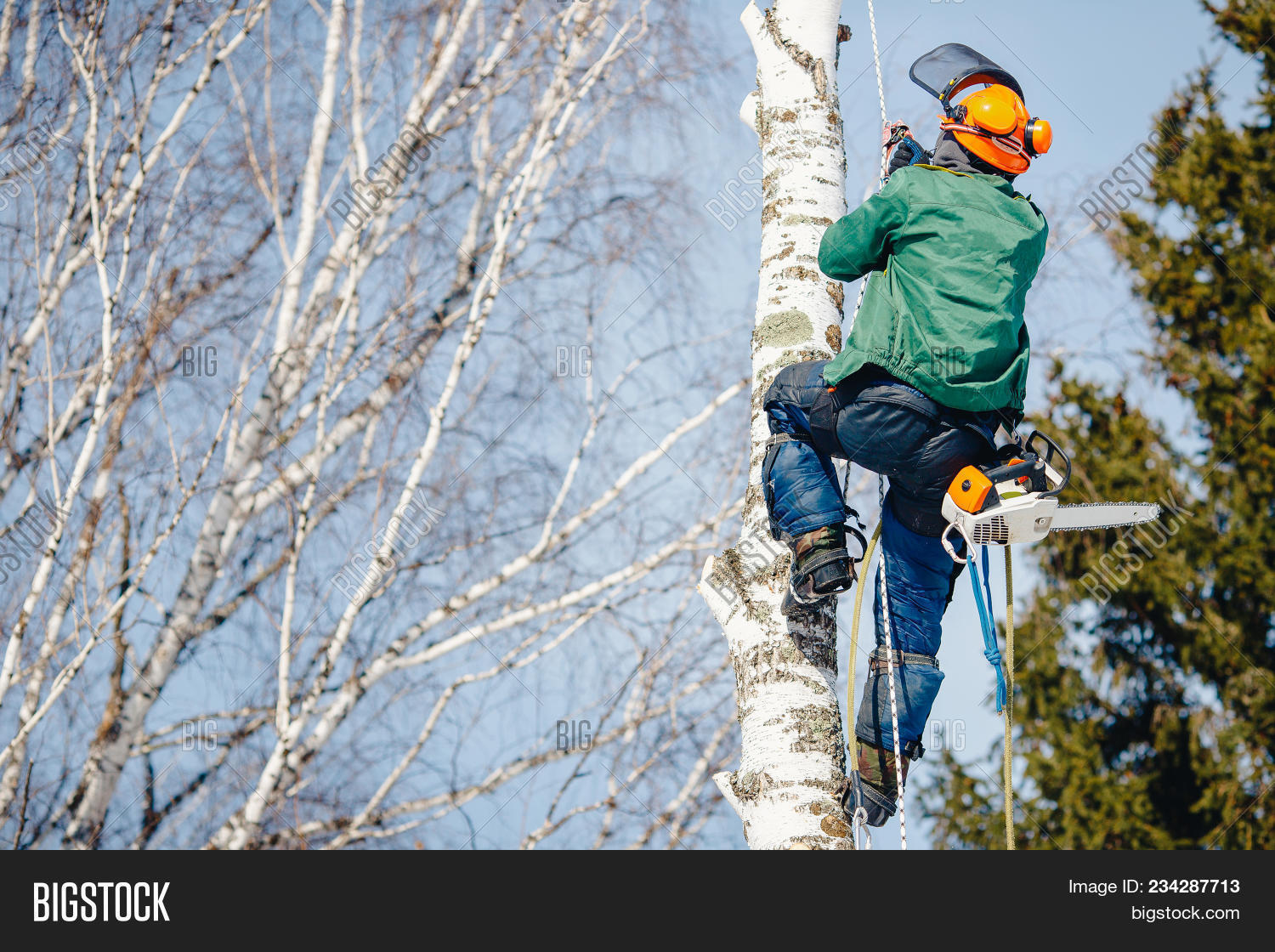 Man Sawmill Saws Tree Image & Photo (Free Trial) | Bigstock