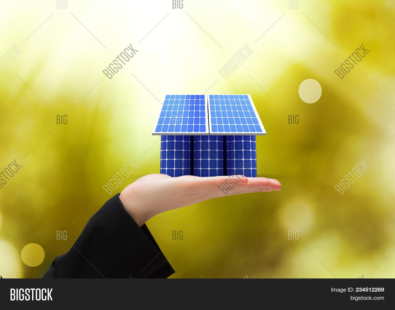 Solar Panel On Hand. Image & Photo (Free Trial) | Bigstock