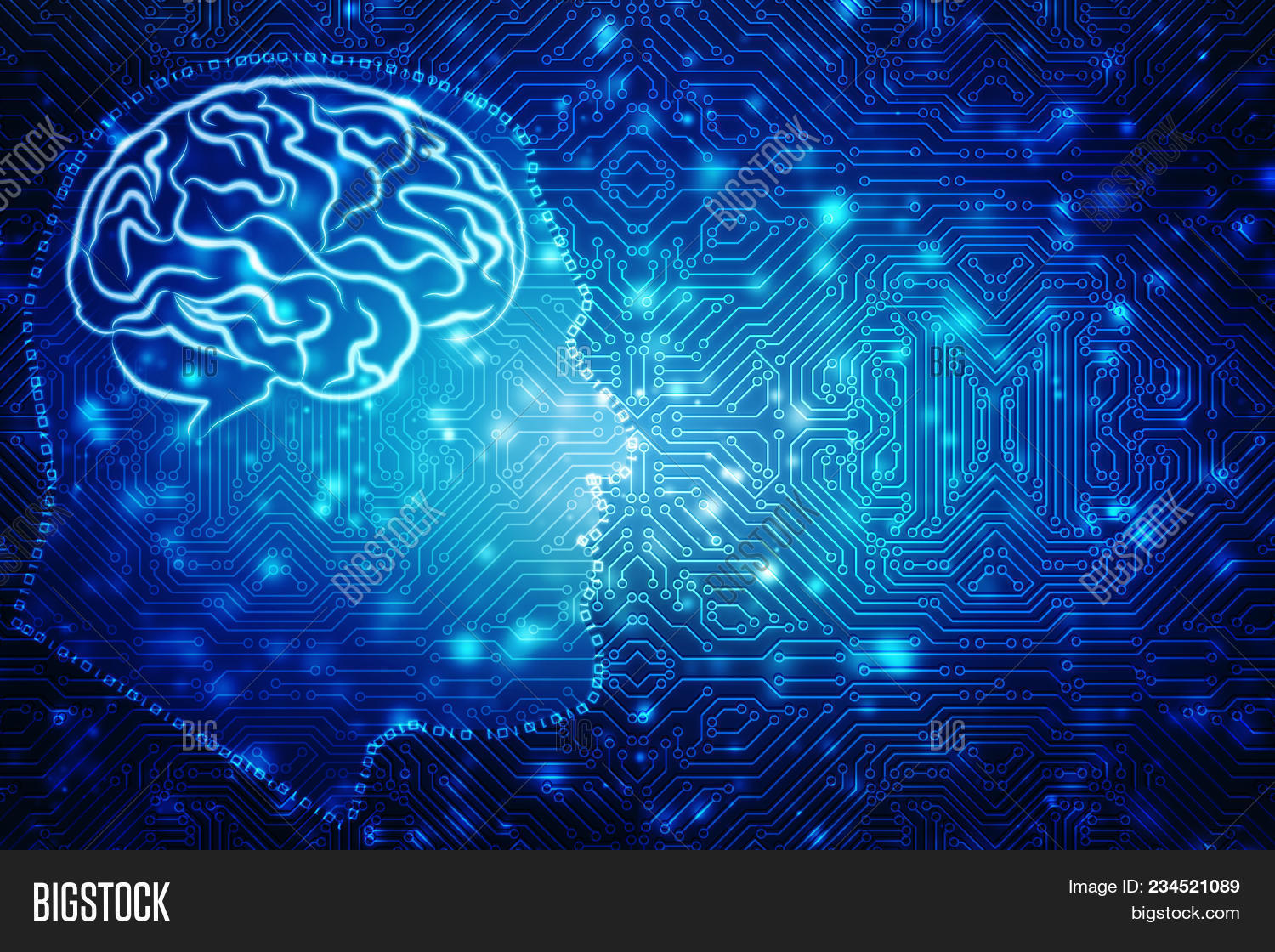 Human Brain 2d Image & Photo (Free Trial) | Bigstock