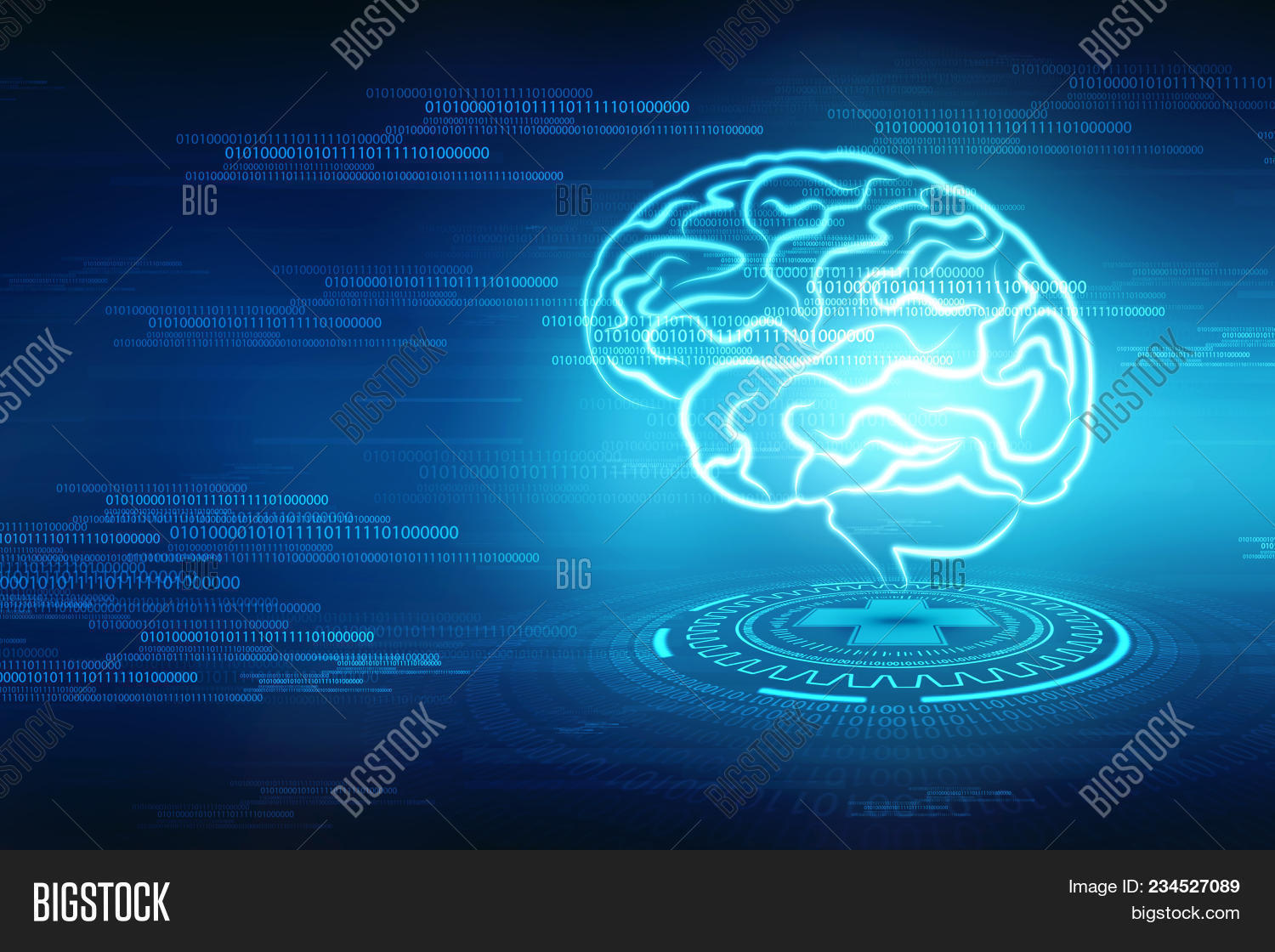 Imagen y foto Human Brain 2d (prueba gratis) | Bigstock