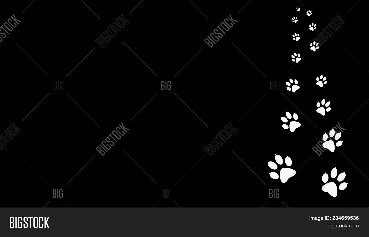 White Paw Prints Image & Photo (Free Trial) | Bigstock