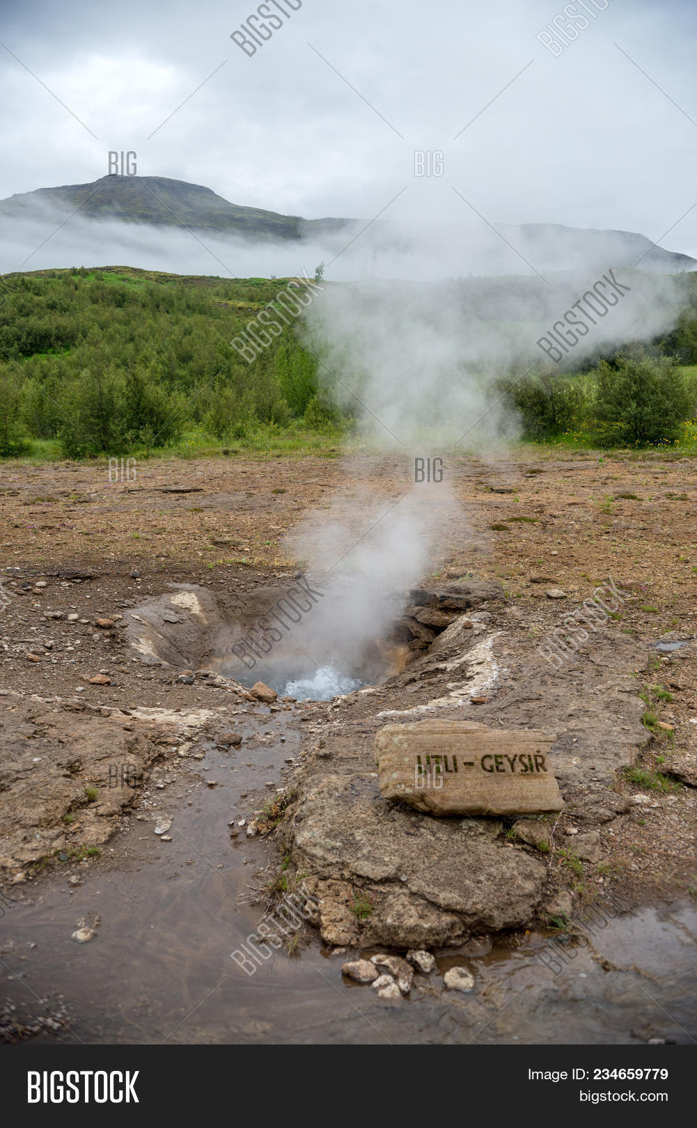 View Meadow Steaming Image & Photo (Free Trial) | Bigstock