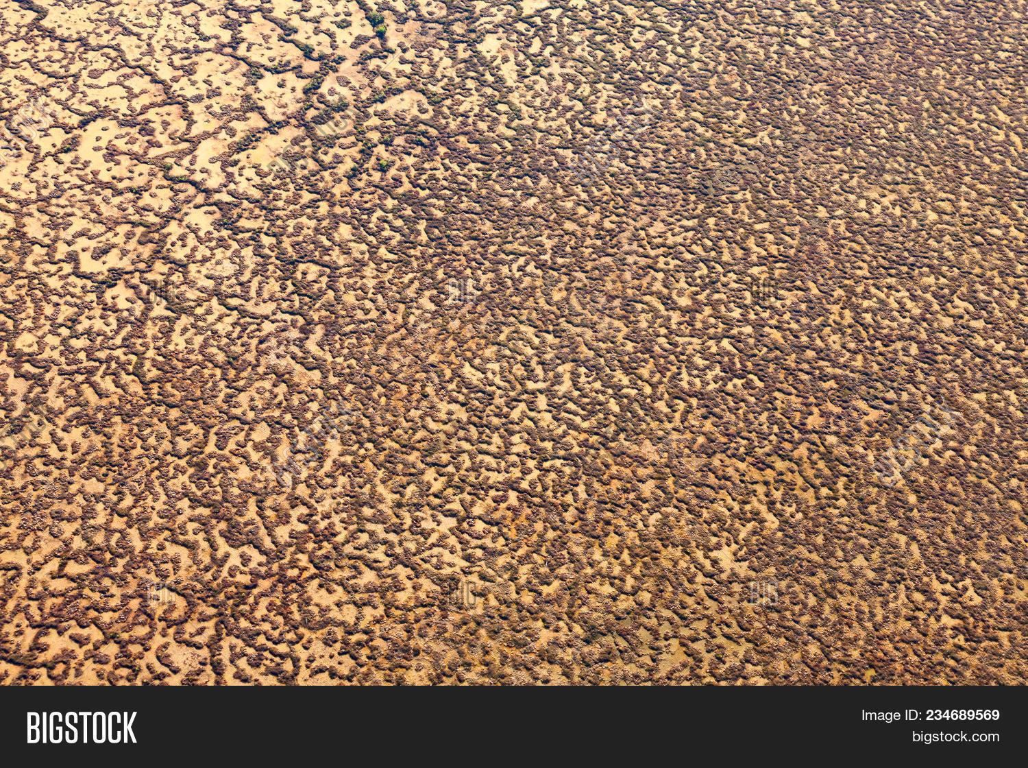 Swamp, Top View Image & Photo (Free Trial) | Bigstock