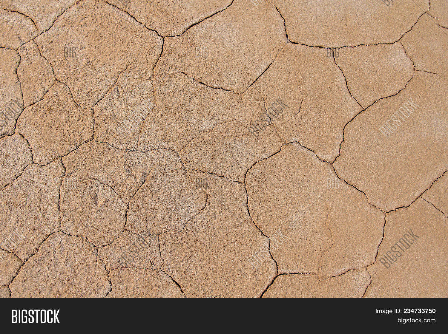 Barren Earth. Dry Image & Photo (Free Trial) | Bigstock