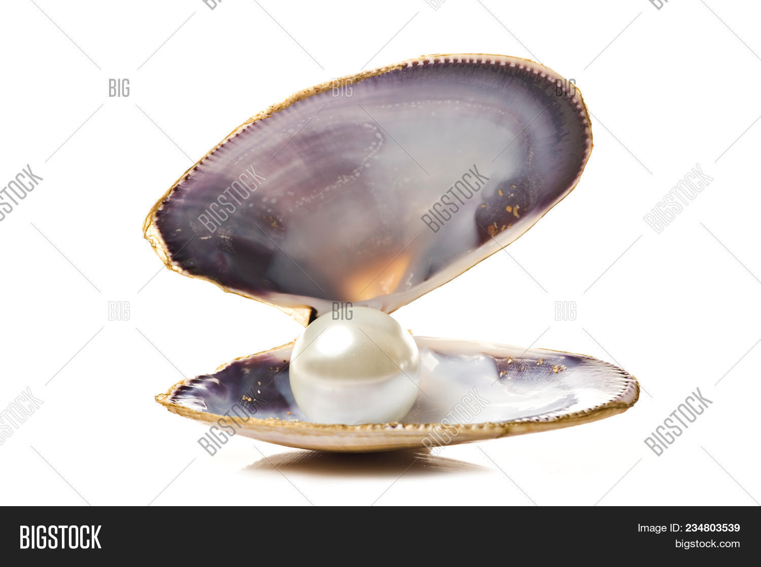 Perfect White Pearl Image & Photo (Free Trial) | Bigstock