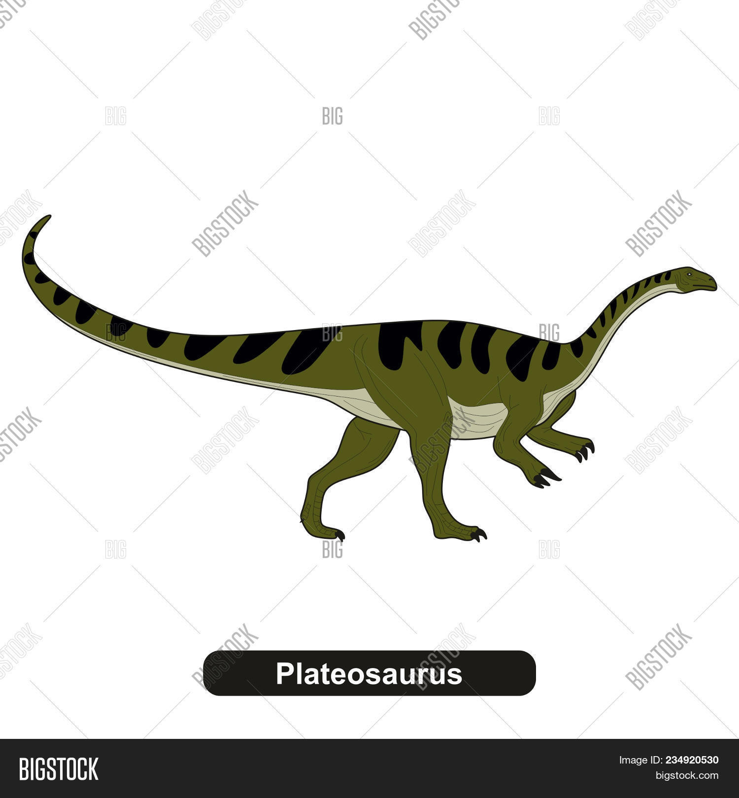 Plateosaurus Dinosaur Image & Photo (Free Trial) | Bigstock