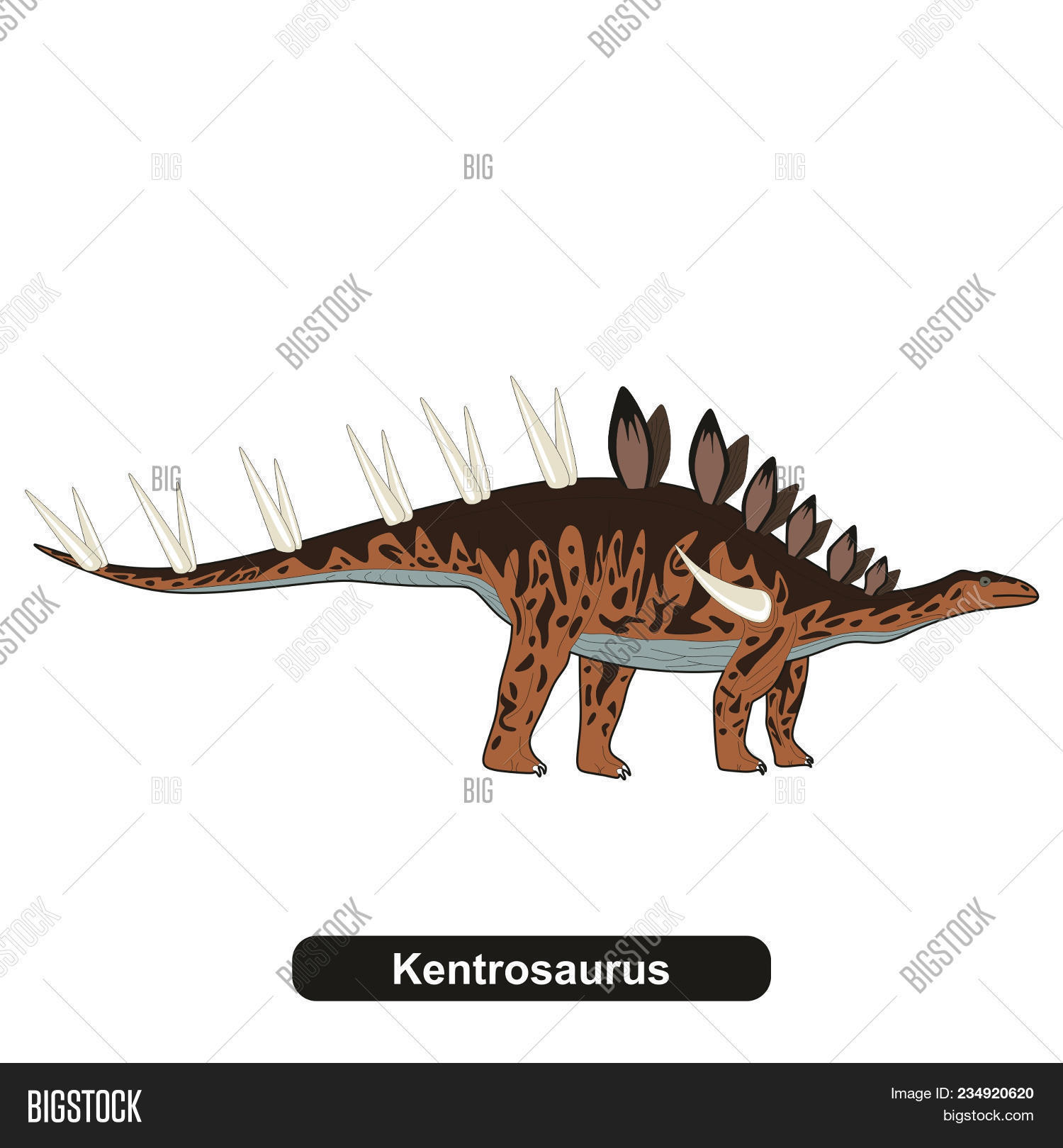Kentrosaurus Dinosaur Image & Photo (Free Trial) | Bigstock