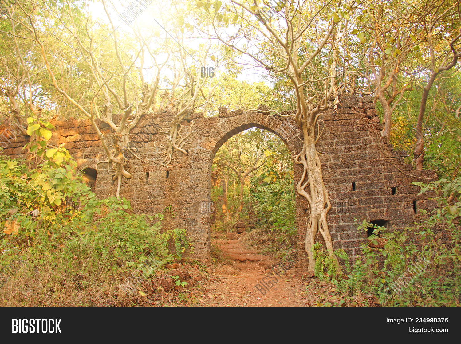 Redi Fort. Roots Were Image & Photo (Free Trial) | Bigstock