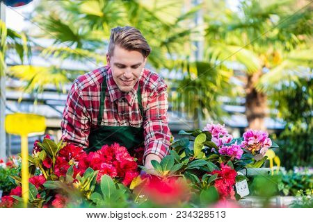 Experienced Dedicated Image & Photo (Free Trial) | Bigstock