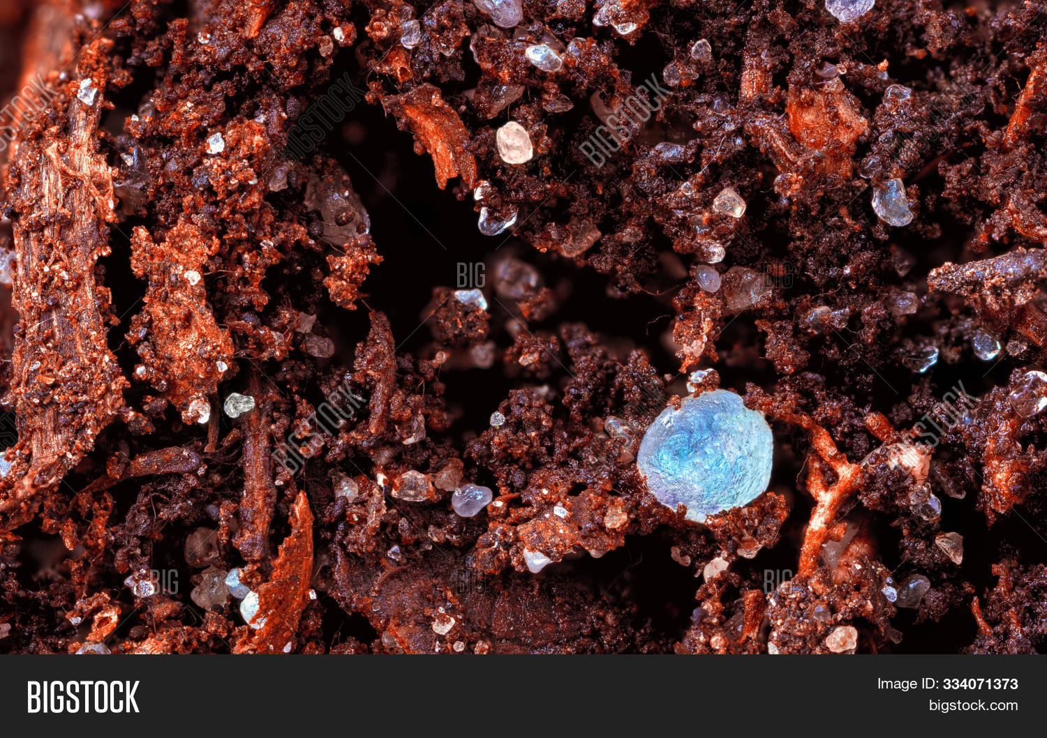 Bleached Sand Image & Photo (Free Trial) | Bigstock