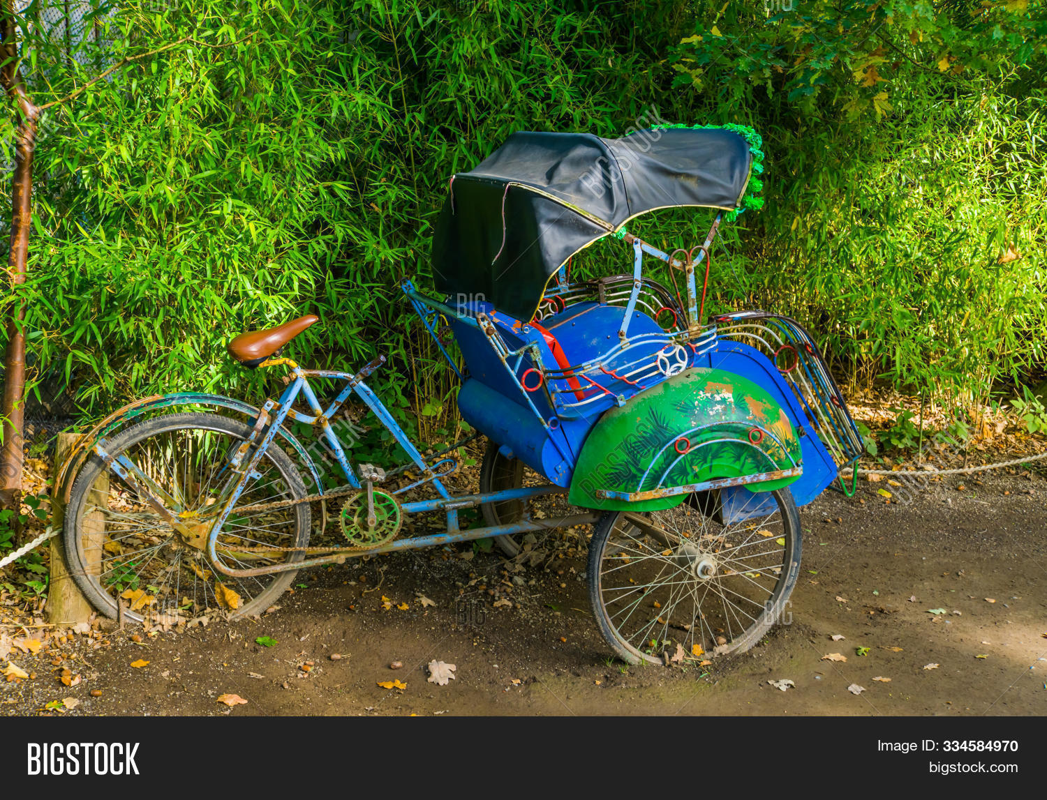 Side View Traditional Image & Photo (Free Trial) | Bigstock