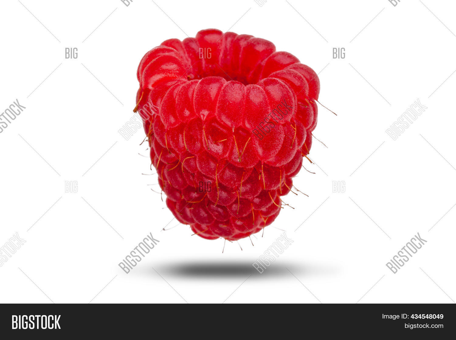 Single Raspberry Fruit Image & Photo (Free Trial) | Bigstock