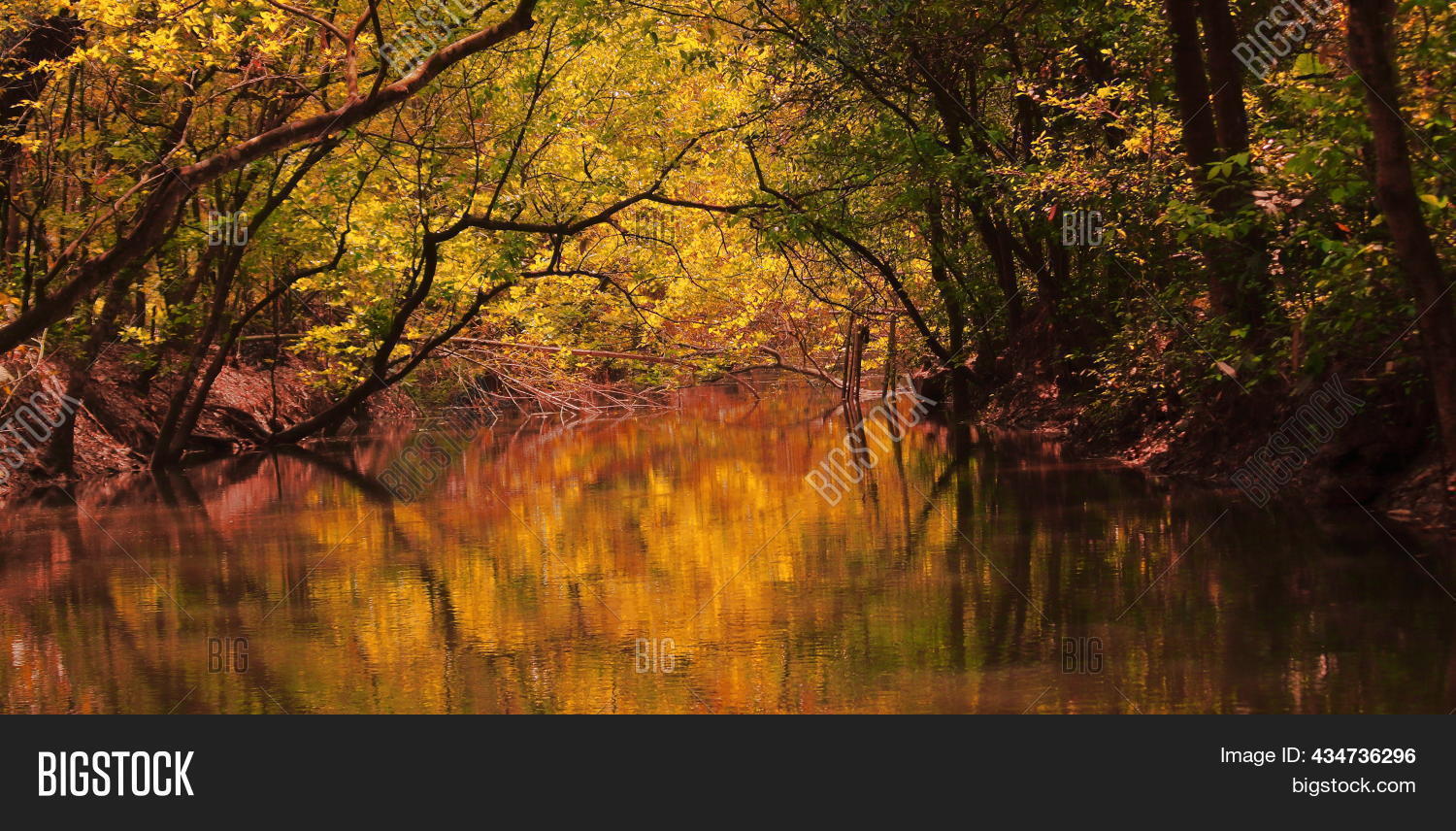 Fall Colors October Image & Photo (Free Trial) | Bigstock