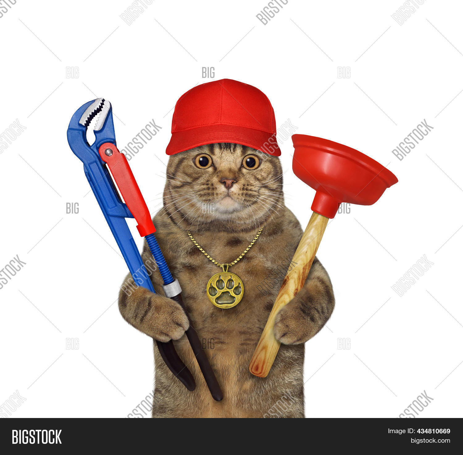 Beige Cat Plumber Red Image & Photo (Free Trial) | Bigstock