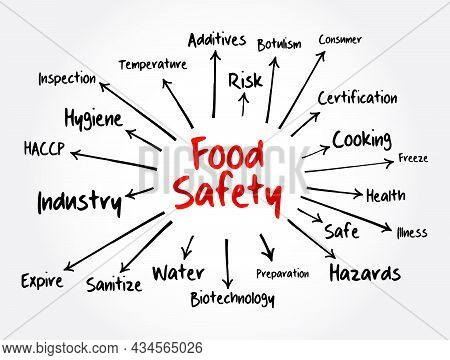 Food Safety Mind Map Image & Photo (Free Trial) | Bigstock