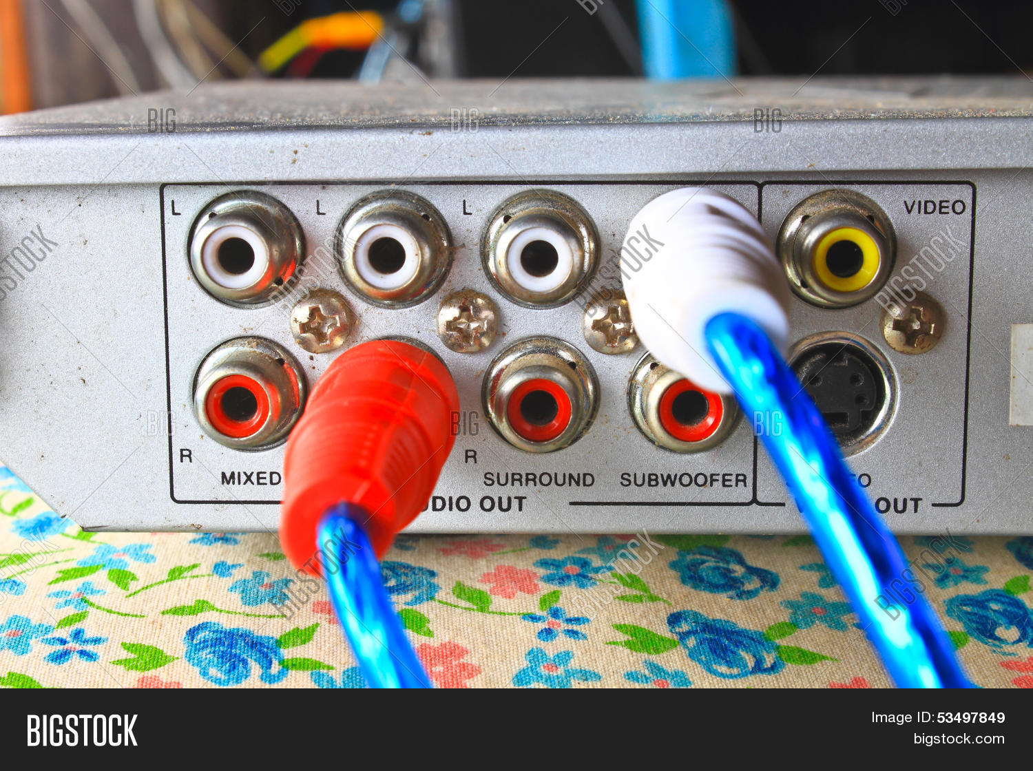 Shows Back Panel Dvd Image & Photo (Free Trial) | Bigstock