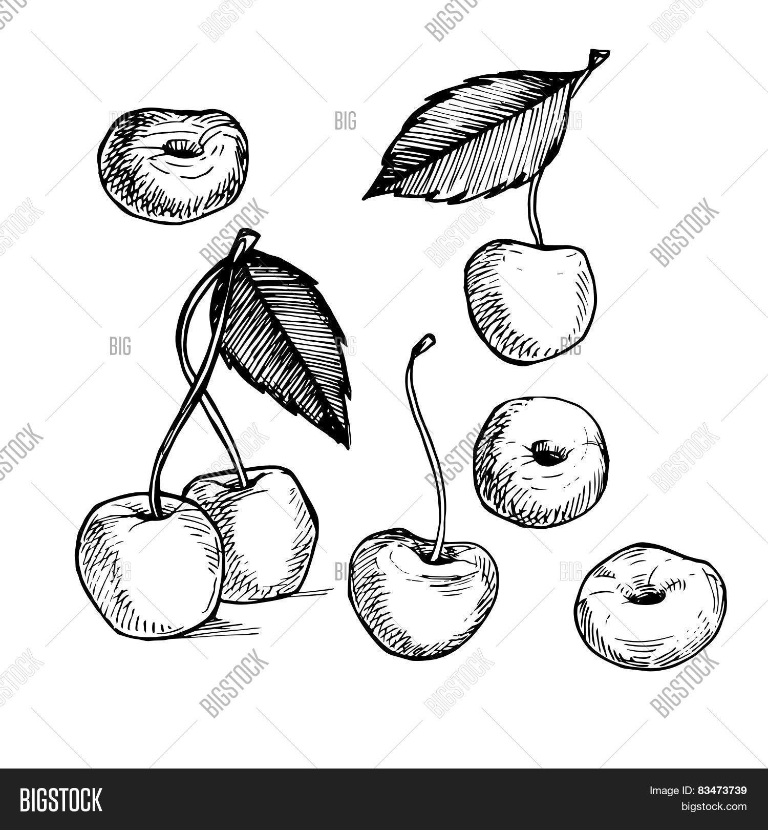 Hand-drawn Vector Vector & Photo (Free Trial) | Bigstock