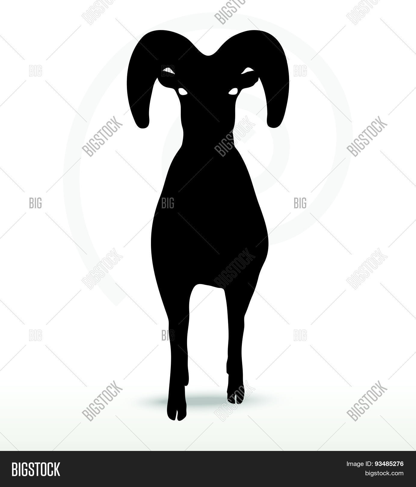 Big Horn Sheep Vector & Photo (Free Trial) | Bigstock