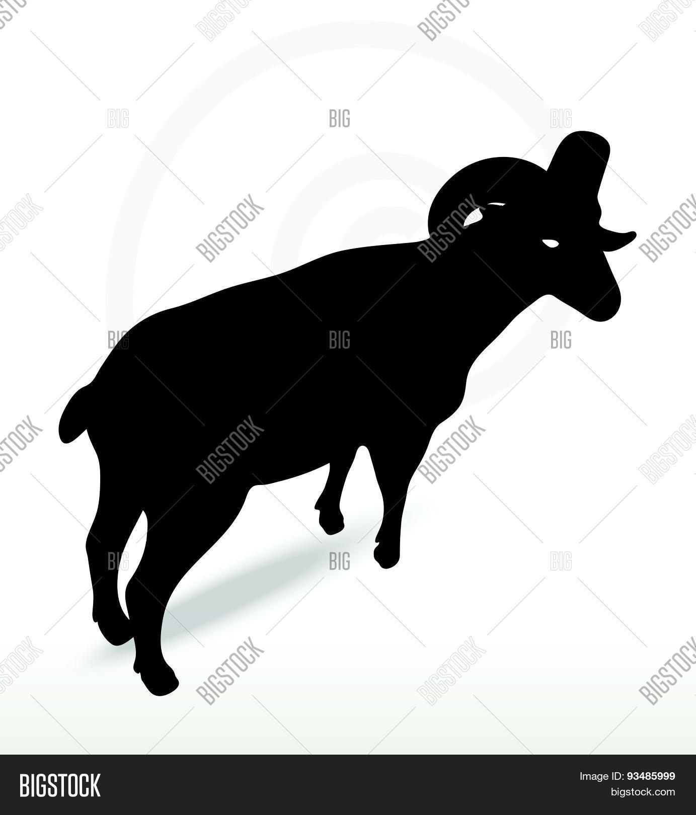 Big Horn Sheep Vector & Photo (Free Trial) | Bigstock