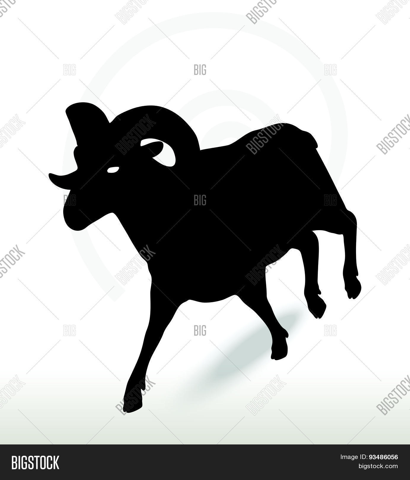 Big Horn Sheep Vector & Photo (Free Trial) | Bigstock