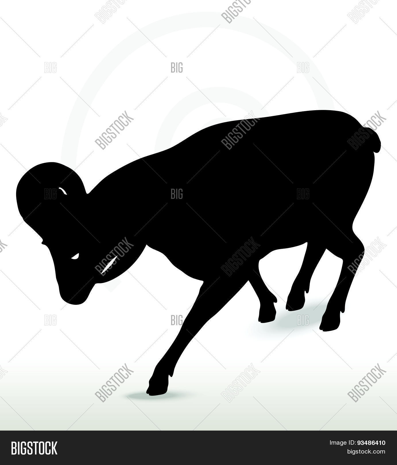 Big Horn Sheep Vector & Photo (Free Trial) | Bigstock