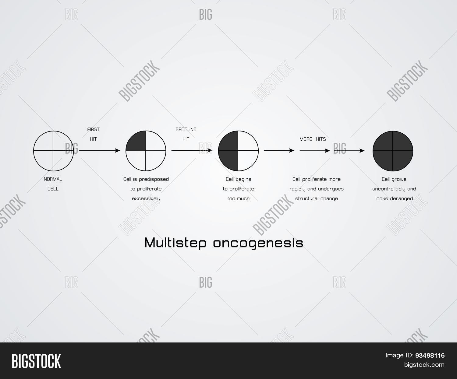 Multistep Oncogenesis Vector & Photo (Free Trial) | Bigstock