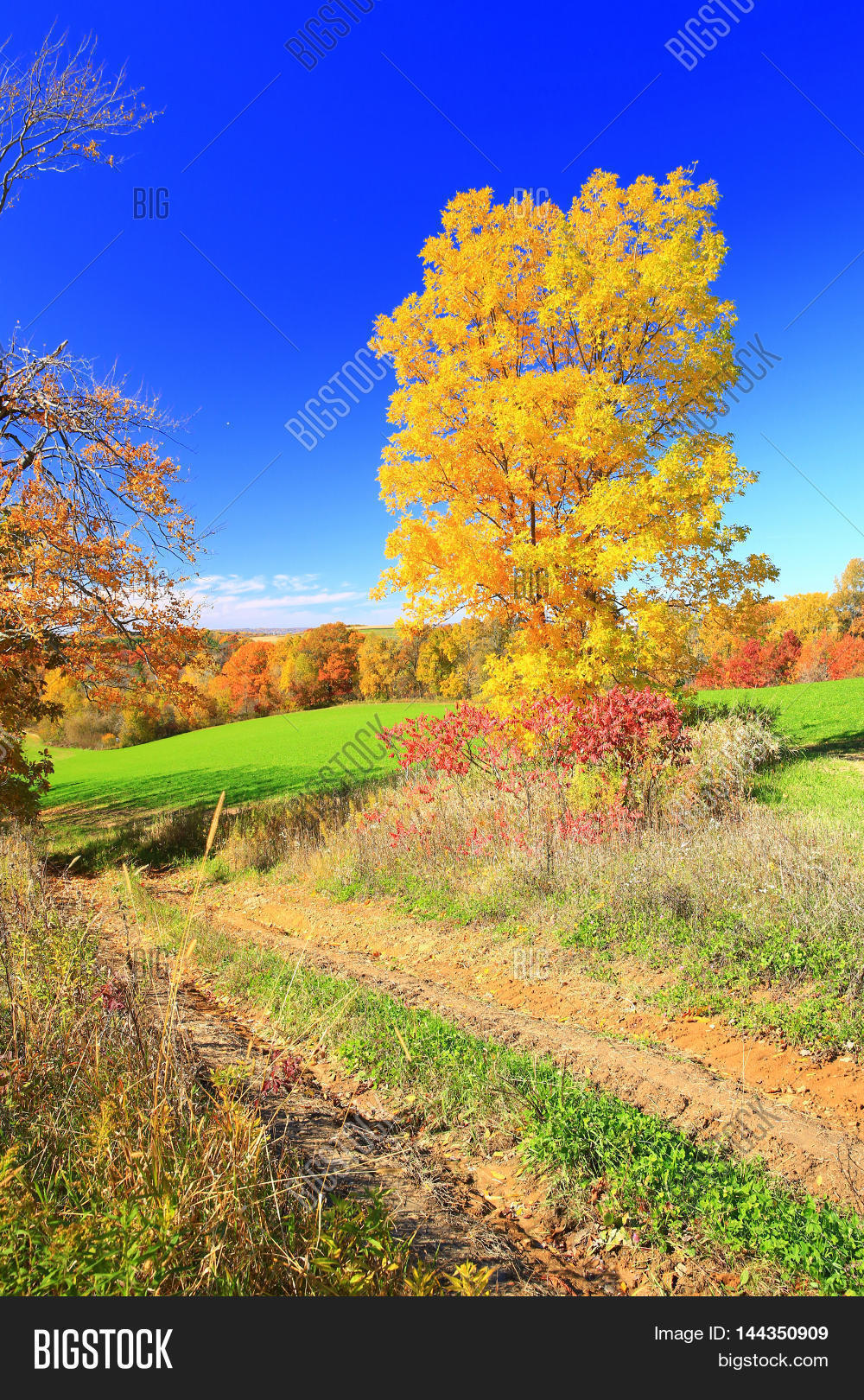 Autumn Colors Image & Photo (Free Trial) | Bigstock