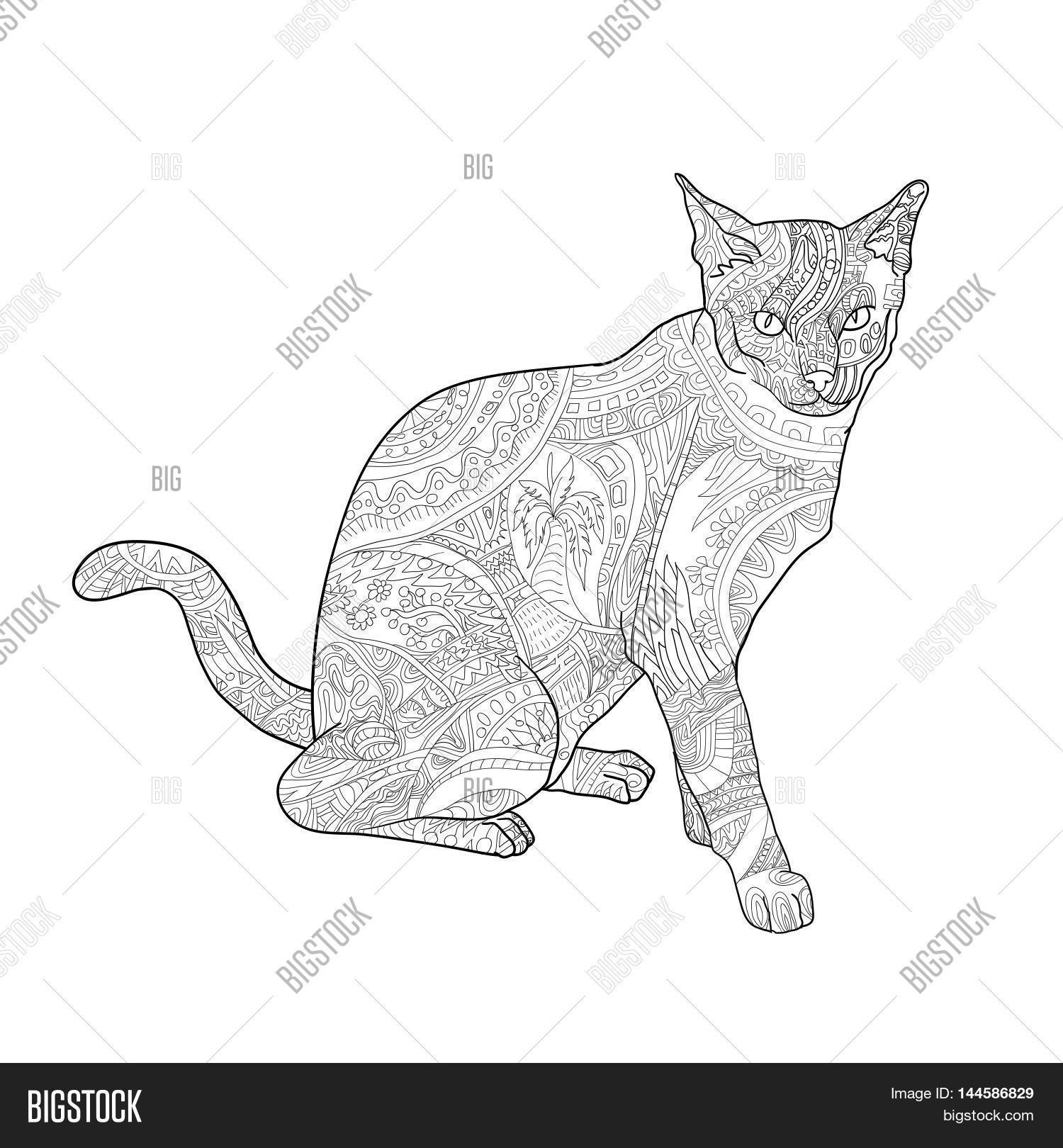 Line Art Cat Coloring Vector & Photo (Free Trial) | Bigstock
