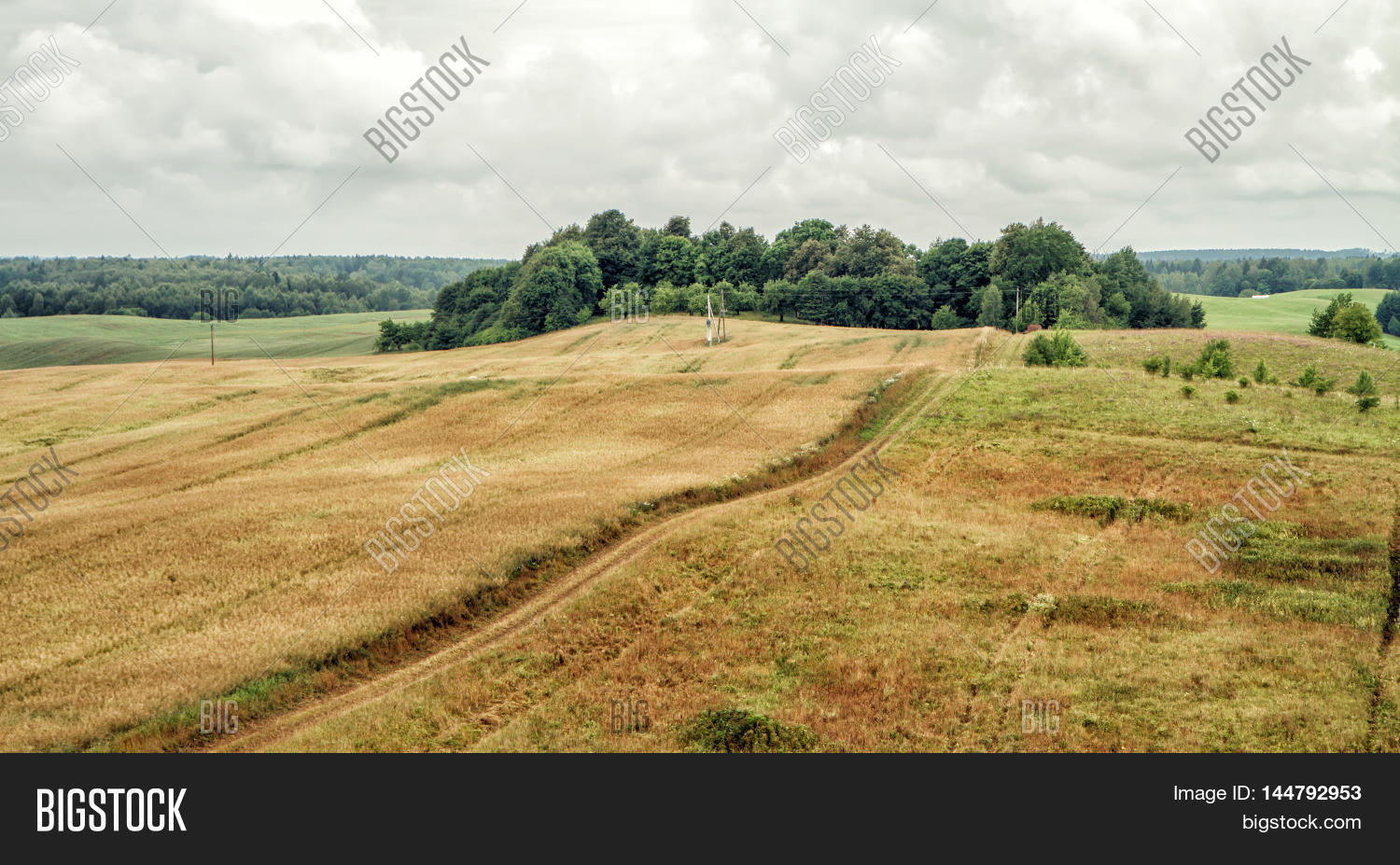 Narrow Path Through Image & Photo (Free Trial) | Bigstock