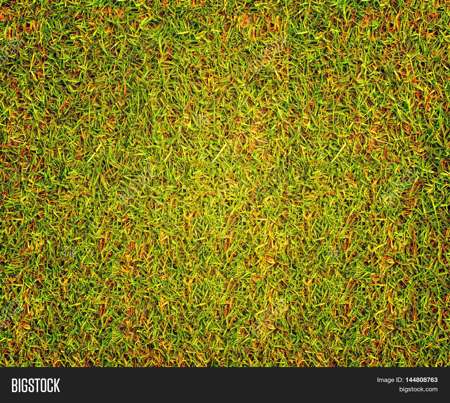Grass Texture Golf Image & Photo (Free Trial) | Bigstock