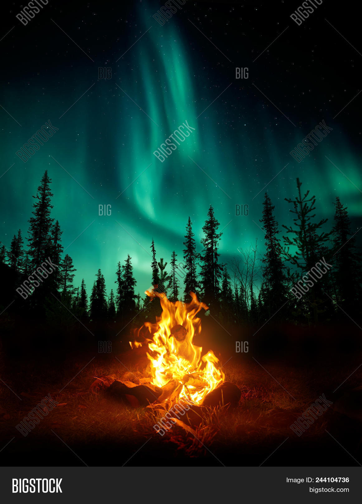 Warm Cosy Campfire Image & Photo (Free Trial) | Bigstock
